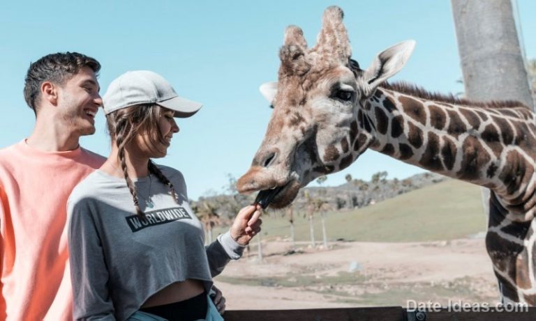 Visit a Zoo – Date-Ideas.com